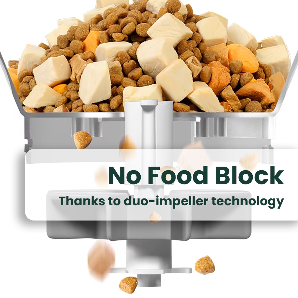 Snack Bot® – WLOOM